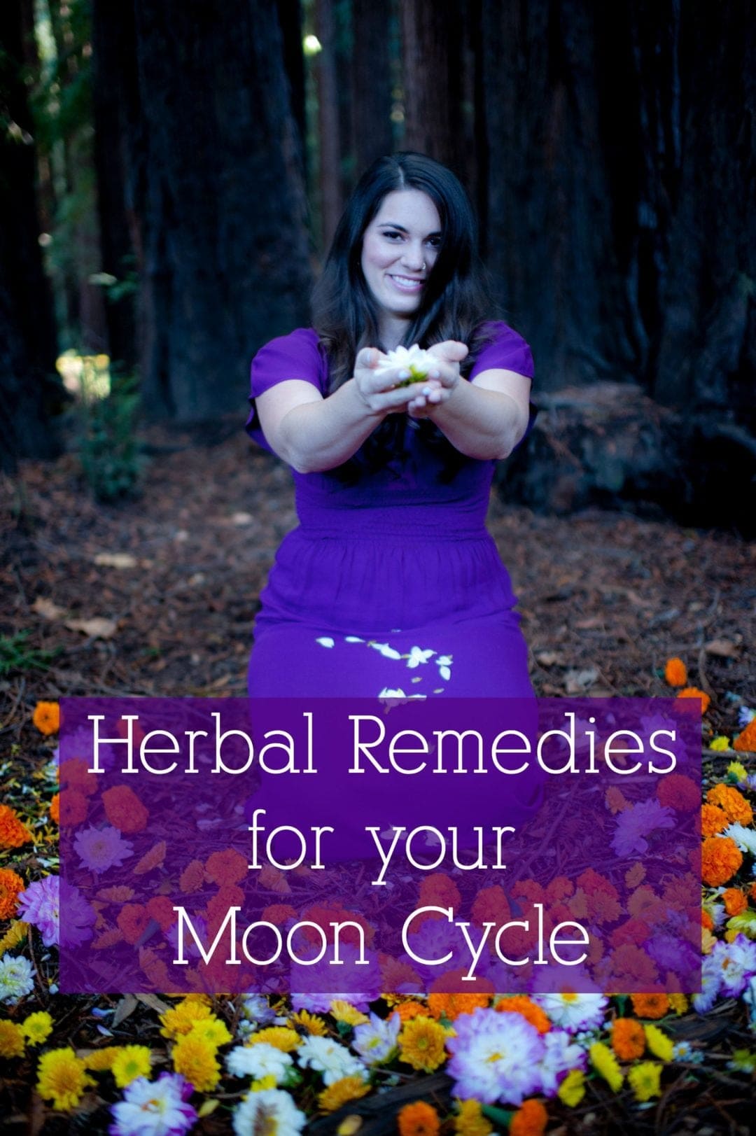 Herbal Remedies for your Moon Cycle {Moon Cycle Series Part 6}