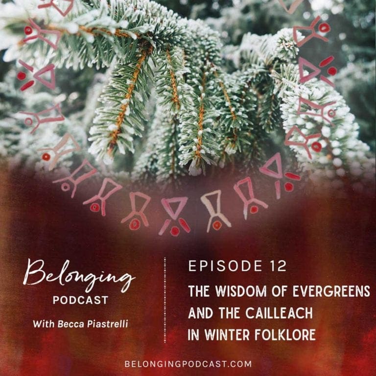 Episode #12: The Wisdom of Evergreens and the Cailleach in Winter ...